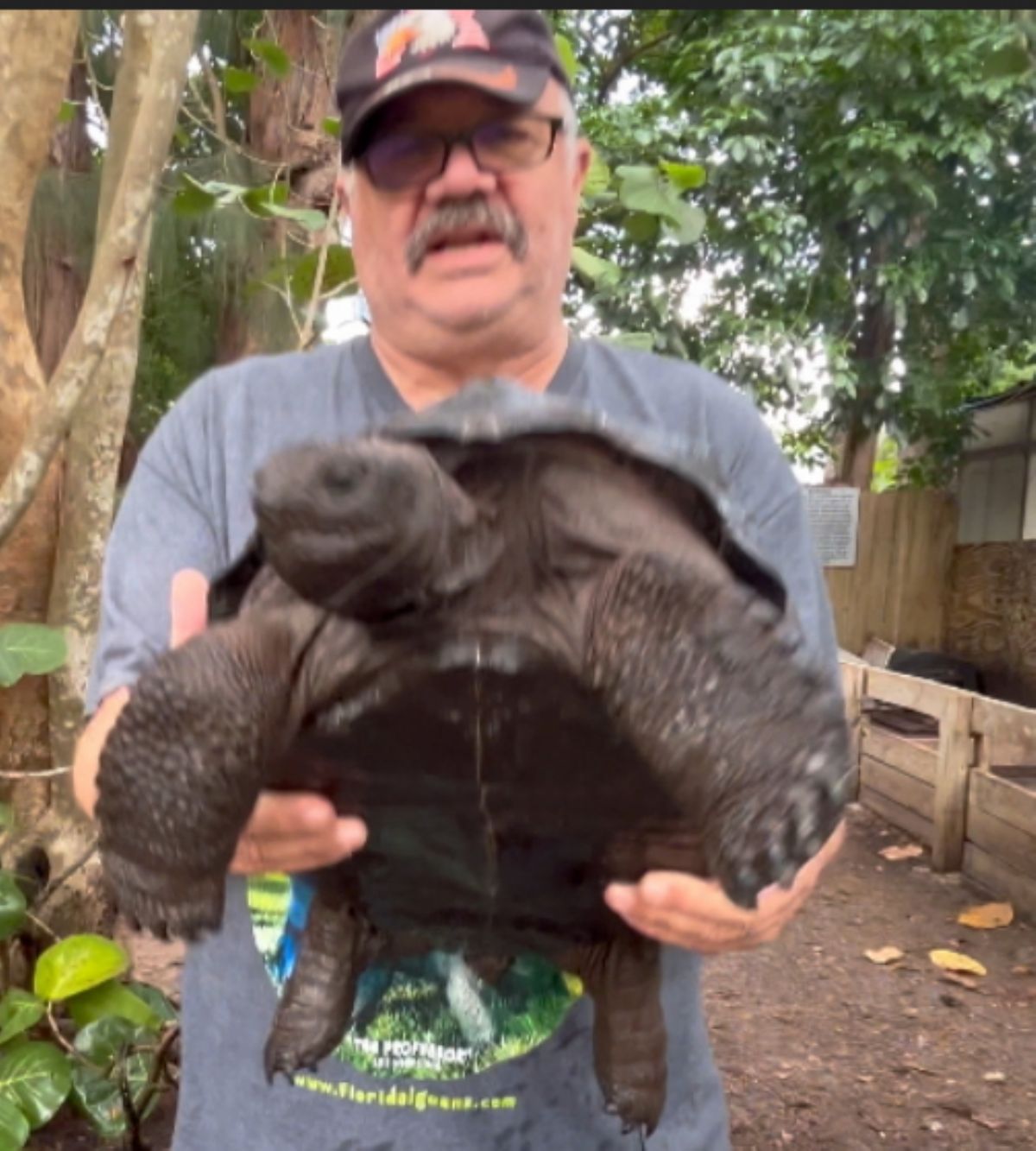 Florida Iguana & Tortoise Breeders